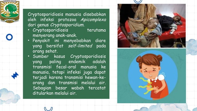 PPT Infeksi Parasit Protozoa, Cacing dan Ektoparasit_Helvi Maudy ...