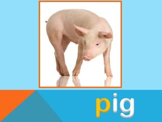 Ppt initial sound p | PPT