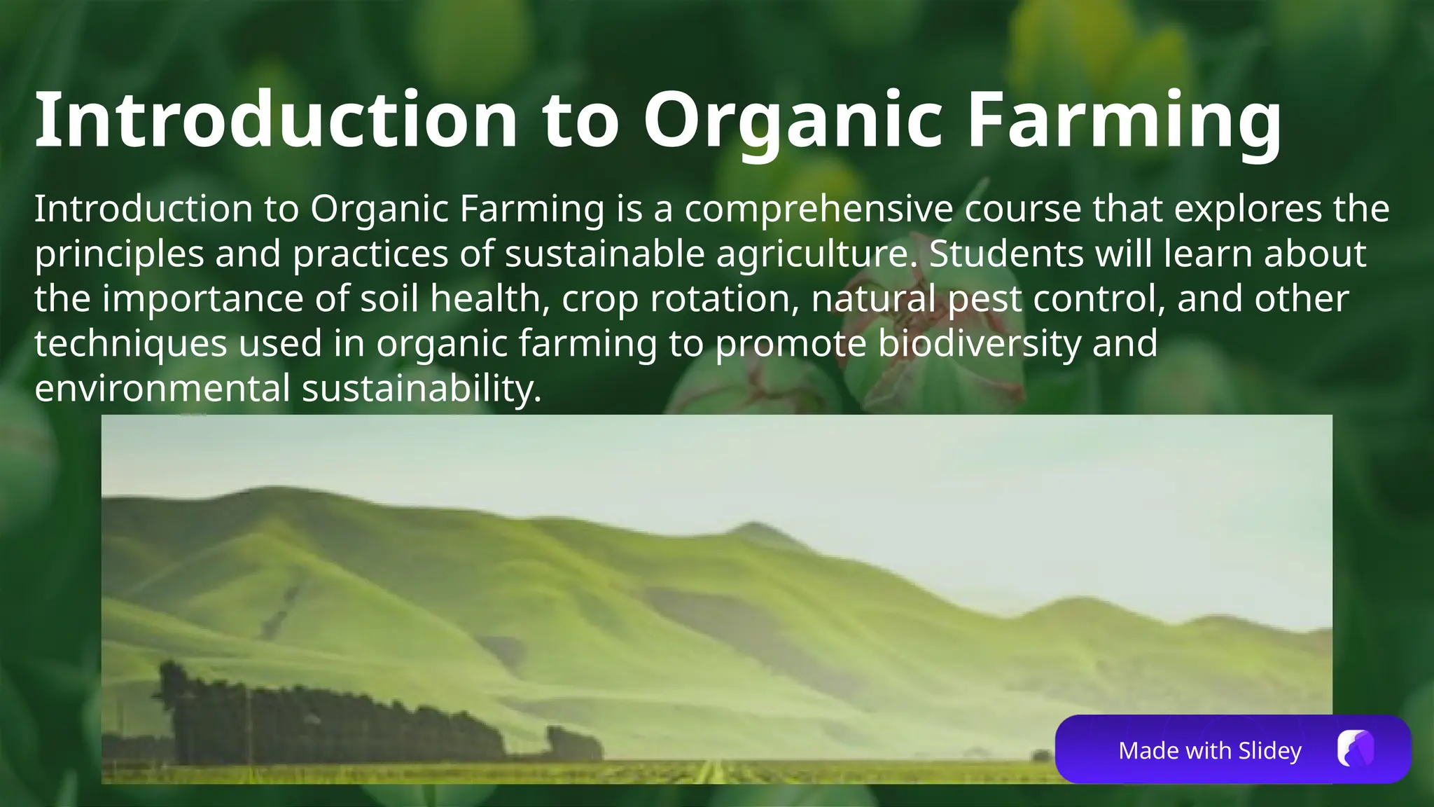 PPT in Organic farming in india and traditional methods | PPTX