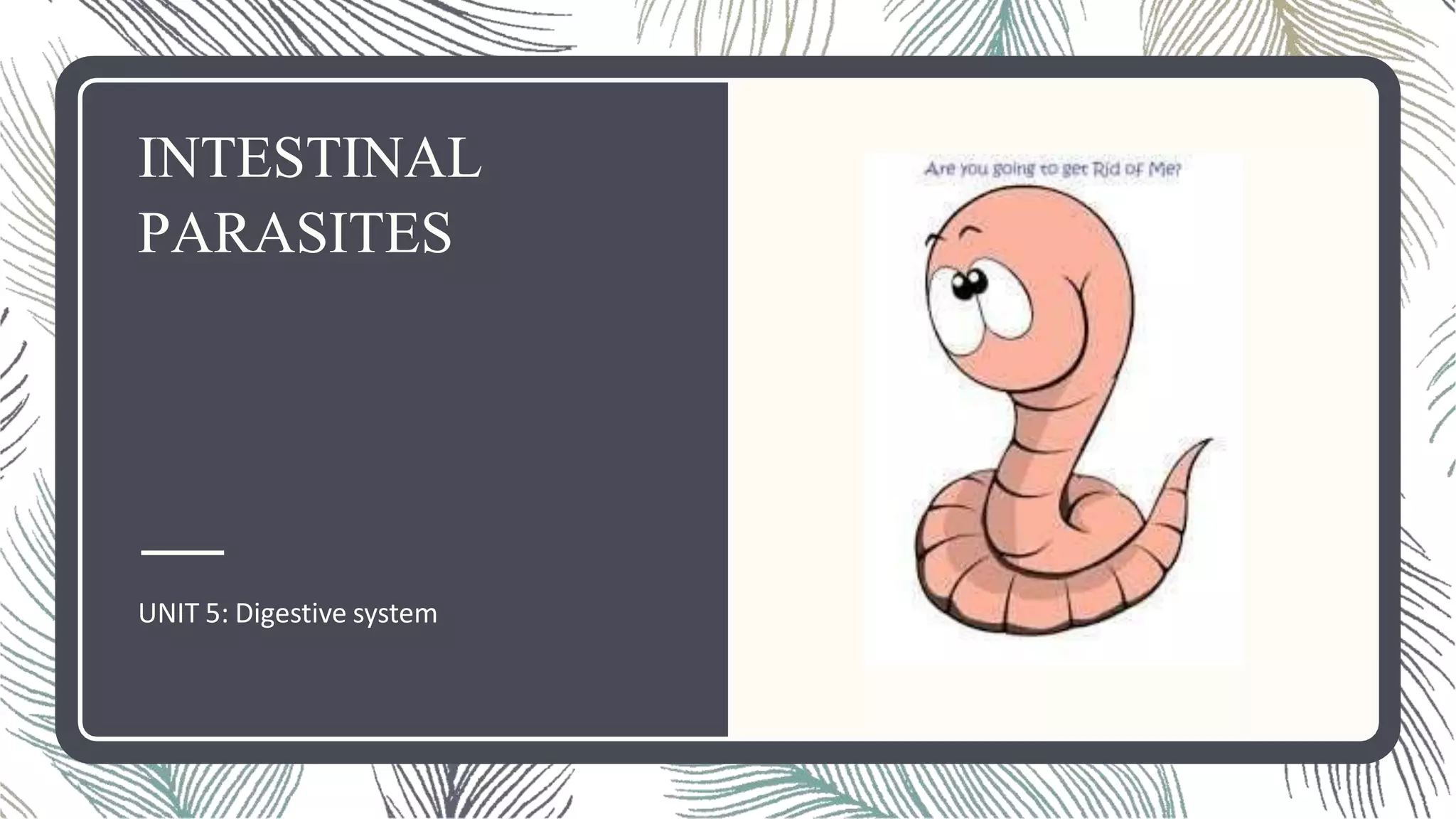 PPT_Instestinal parasites_reb.pptx