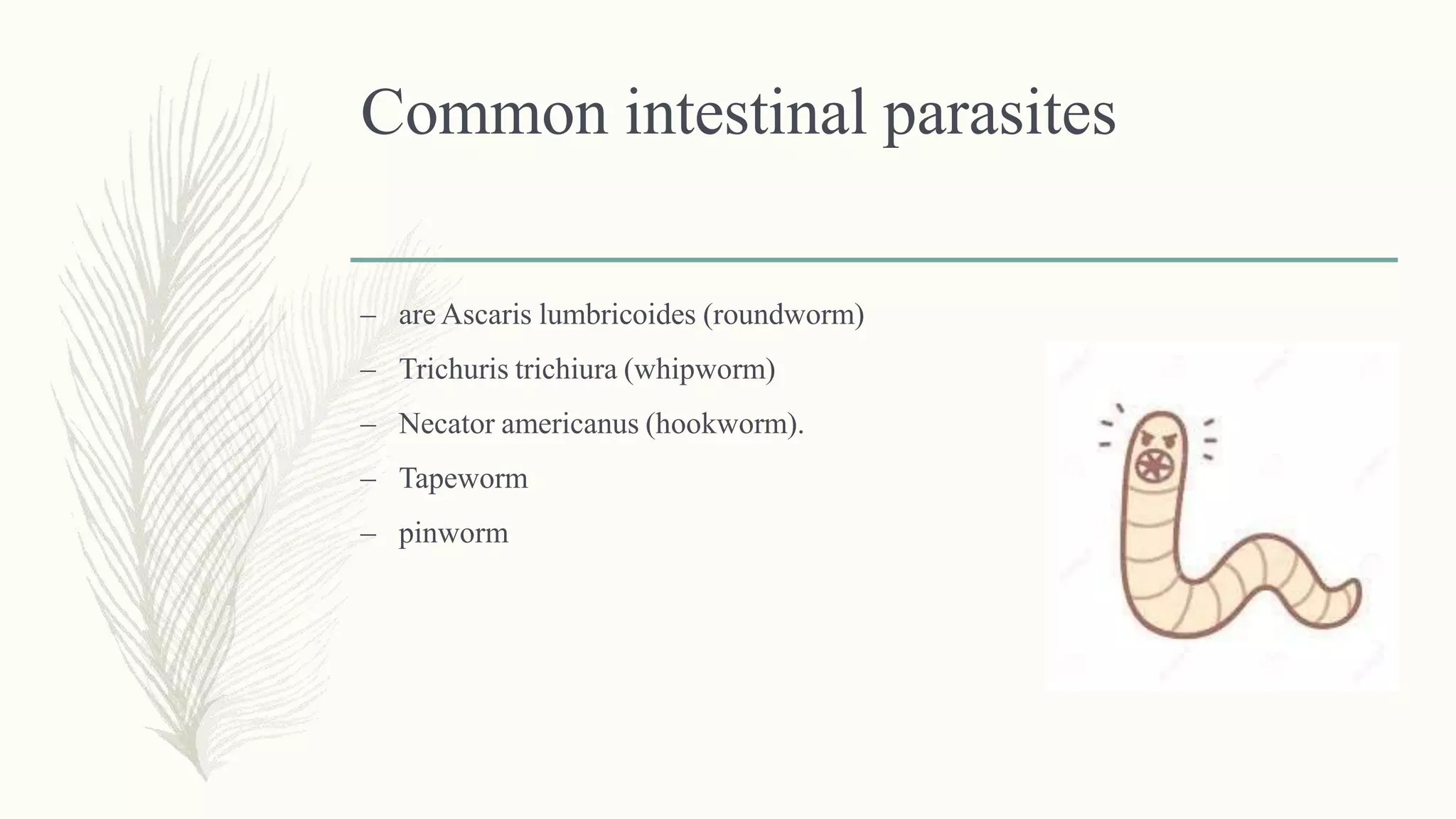 PPT_Instestinal parasites_reb.pptx