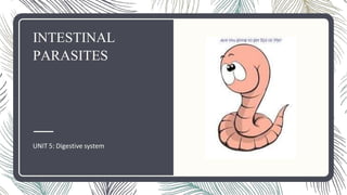 PPT_Instestinal parasites_reb.pptx