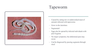 PPT_Instestinal parasites_reb.pptx