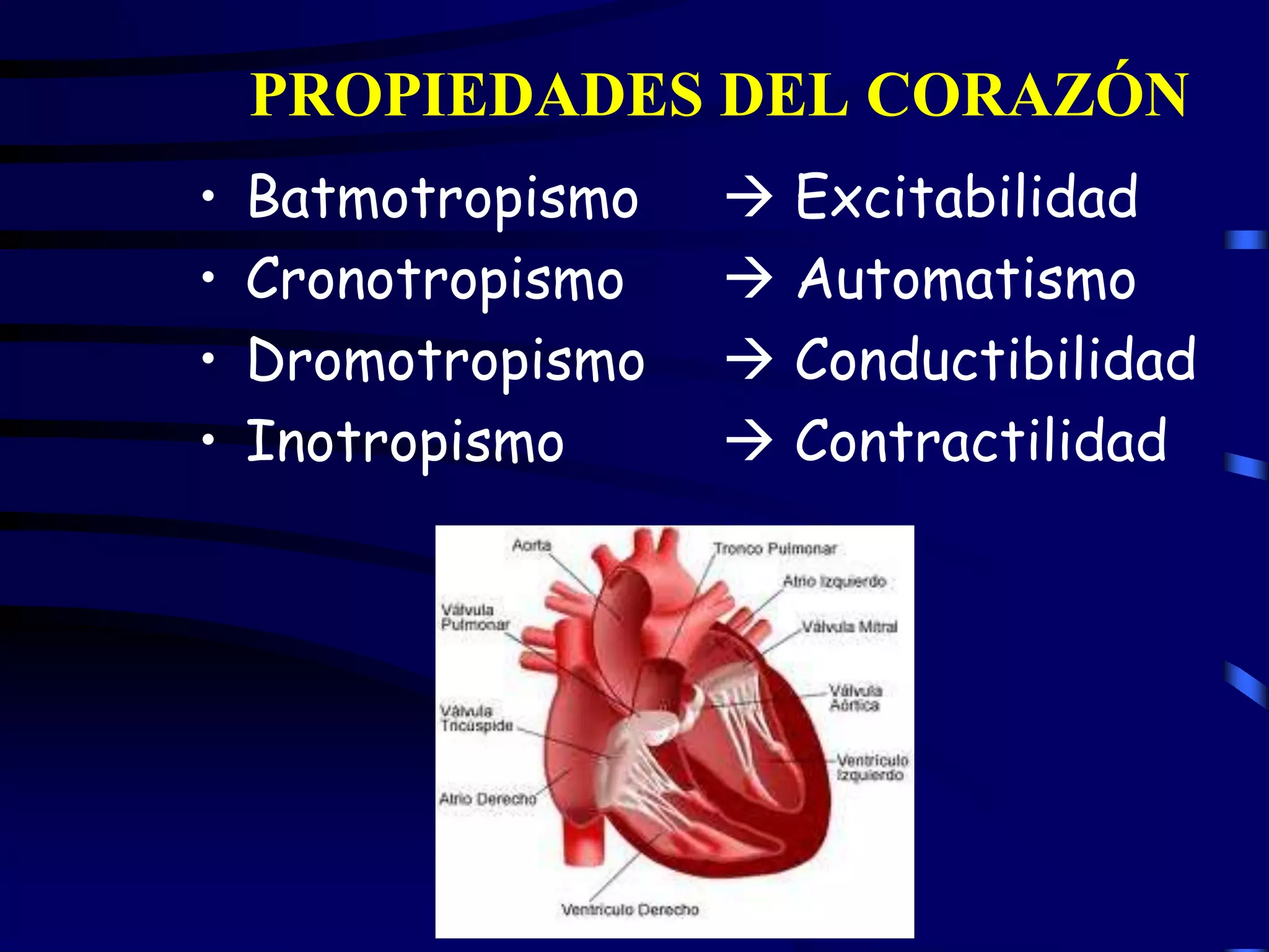 Ppt insuficiencia cardiaca | PPT