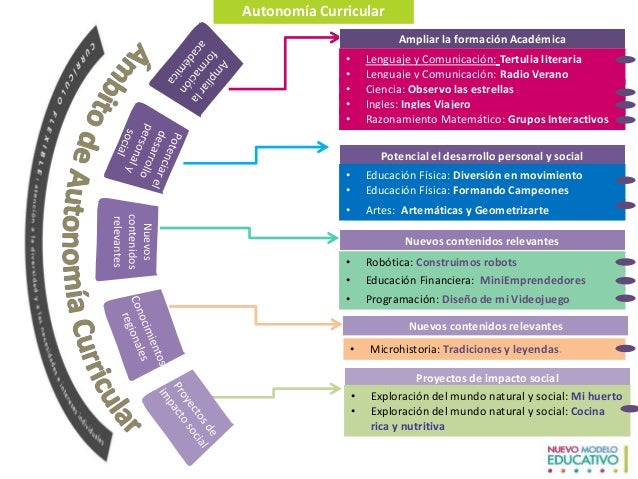 integrada autonomia curricular