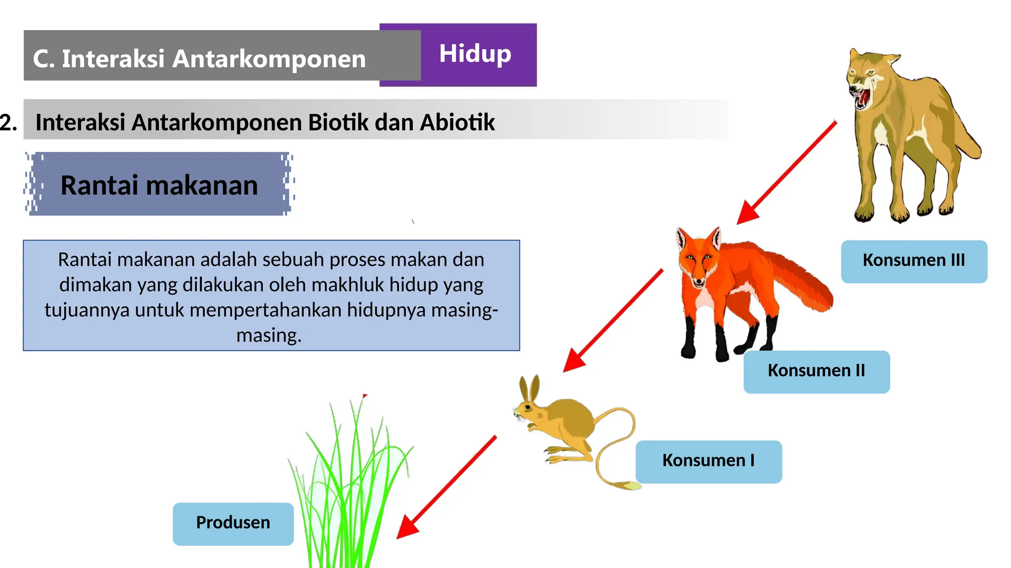 Presentasi INTERAKSI ANTAR MAKHLUK HIDUP.pptx | Free Download