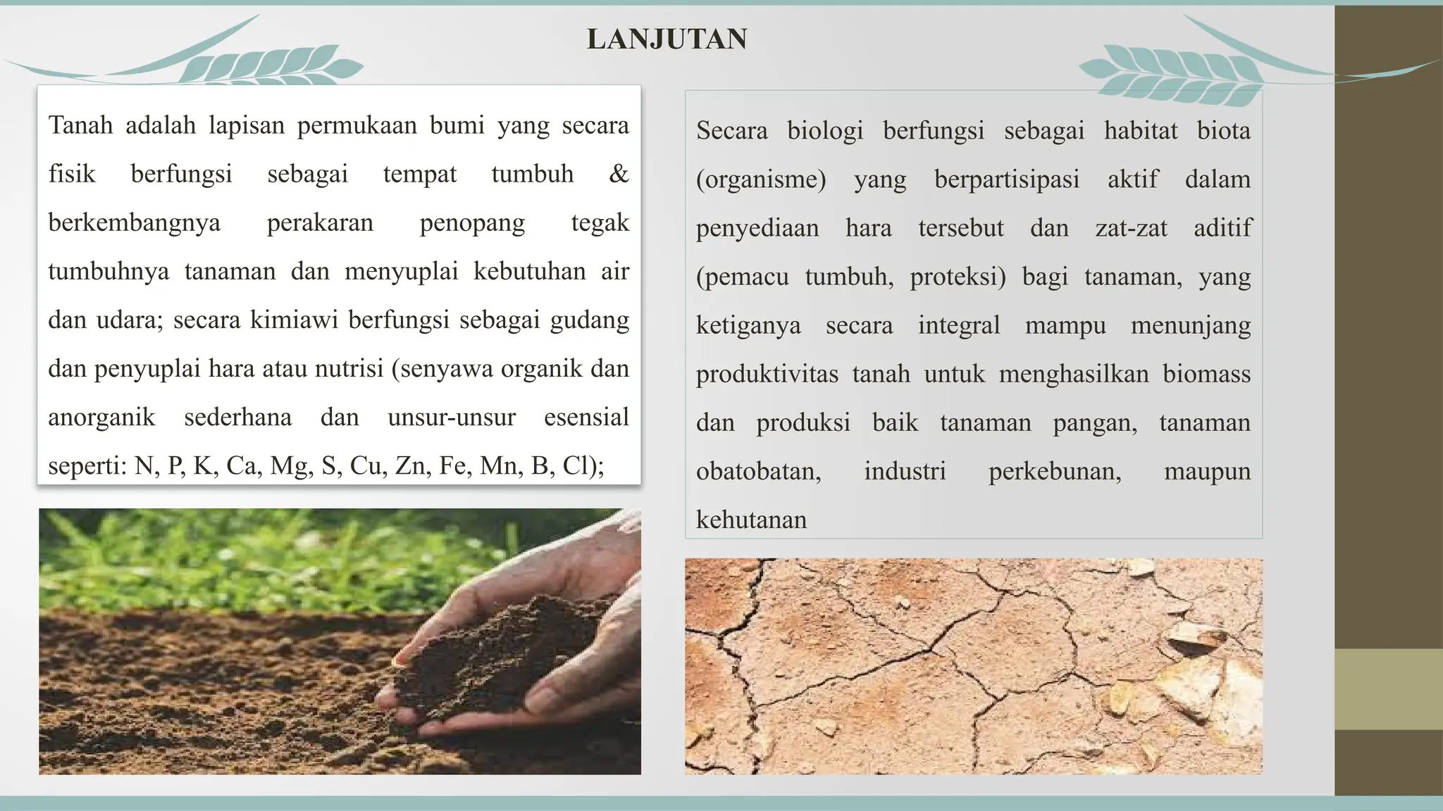 PPT INTERAKSI HARA TANAMAN (RIZKI NOVITA SARI).pptx