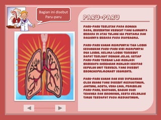 pptinteraktifsistempernapasanmanusia-131227084526-phpapp01.pdf