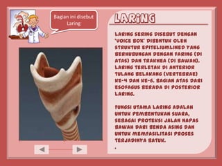 Ppt Interaktif Sistem Pernapasan Manusia | PPTX