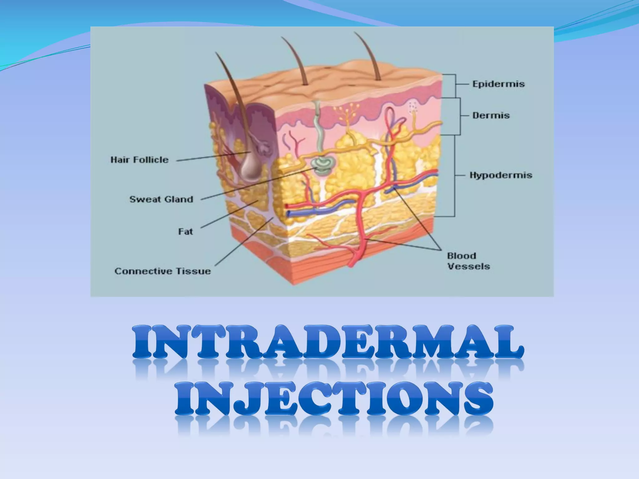 INTRADERMAL INJECTION | PDF