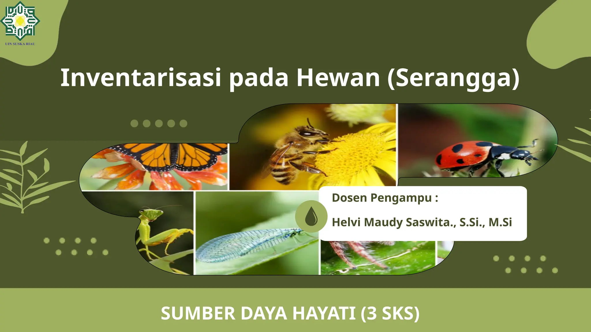 PPT_Inventarisasi pada Hewan (Serangga)_Helvi Maudy Saswita.pptx