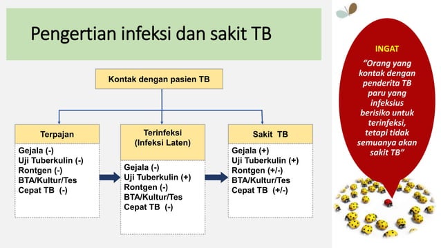 PPT INVESTIGASI KONTAK TB.ppt