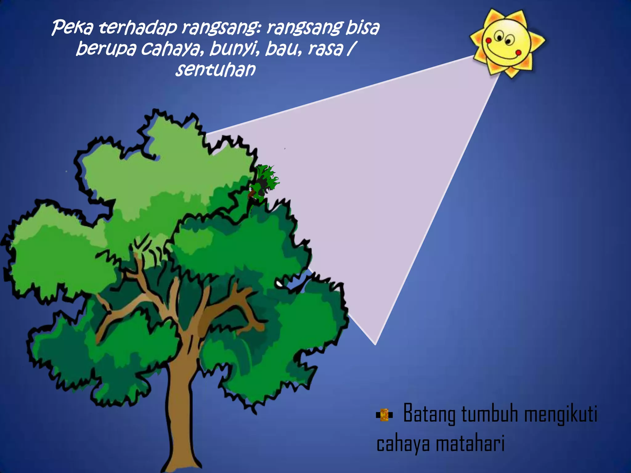 Ppt 'ipa' | PPTX