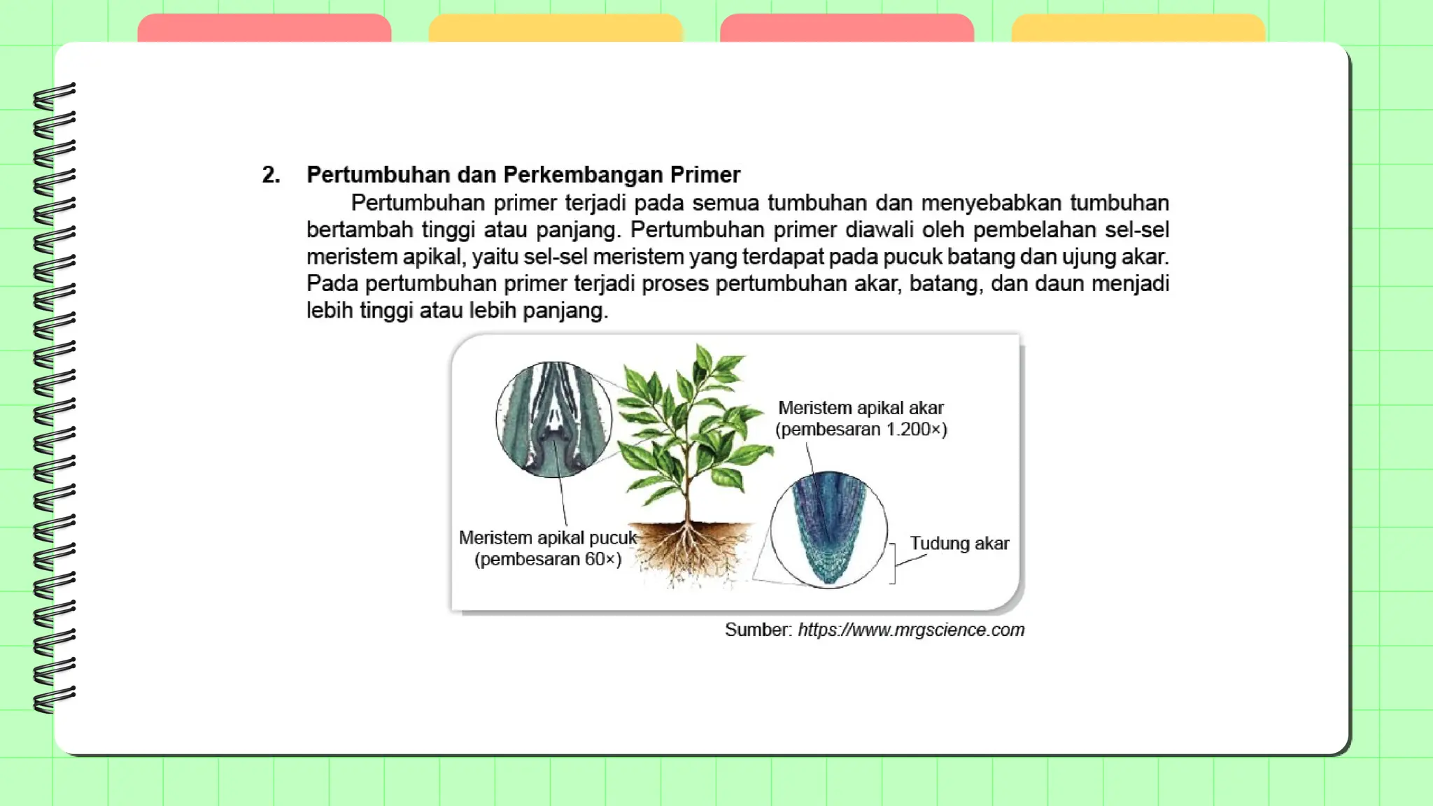 PPT_IPA 9_Bab 1_Pertumbuhan dan Perkembangan Manusia.pptx