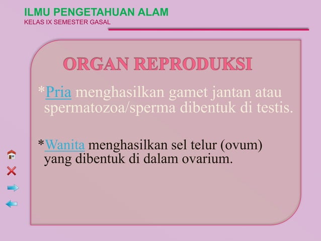 PPT IPA kelas 9 Sistem Reproduksi Manusia.pptx