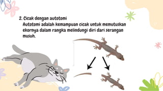 Materi Adaptasi Hewan Kelas 6 | PPTX