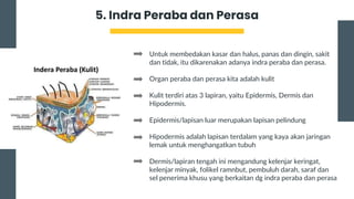 PPT ipa KB 2.pptx