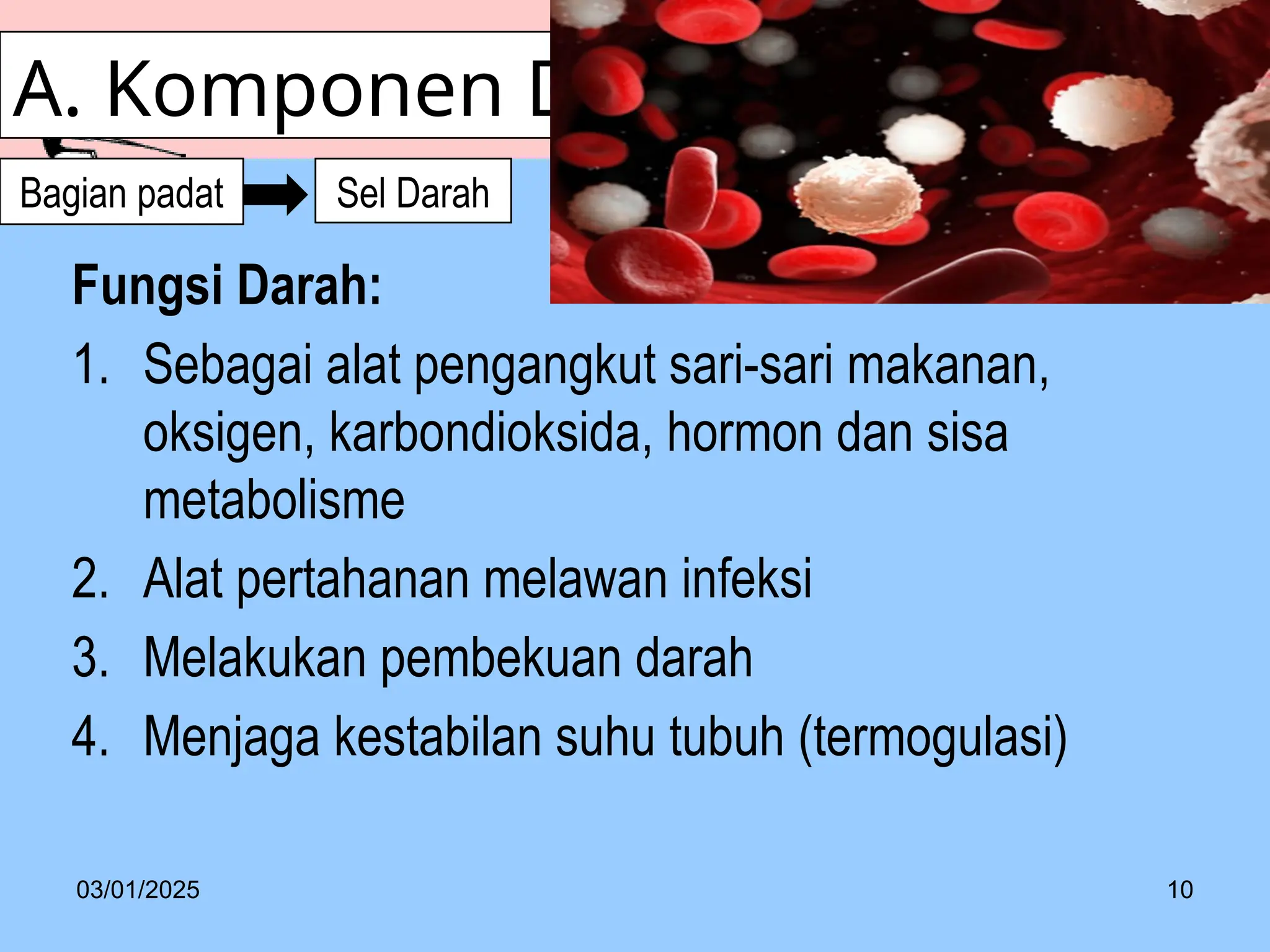 PPT SISTEM PEREDARAN DARAH MANUSIA KELAS 8 | PPTX