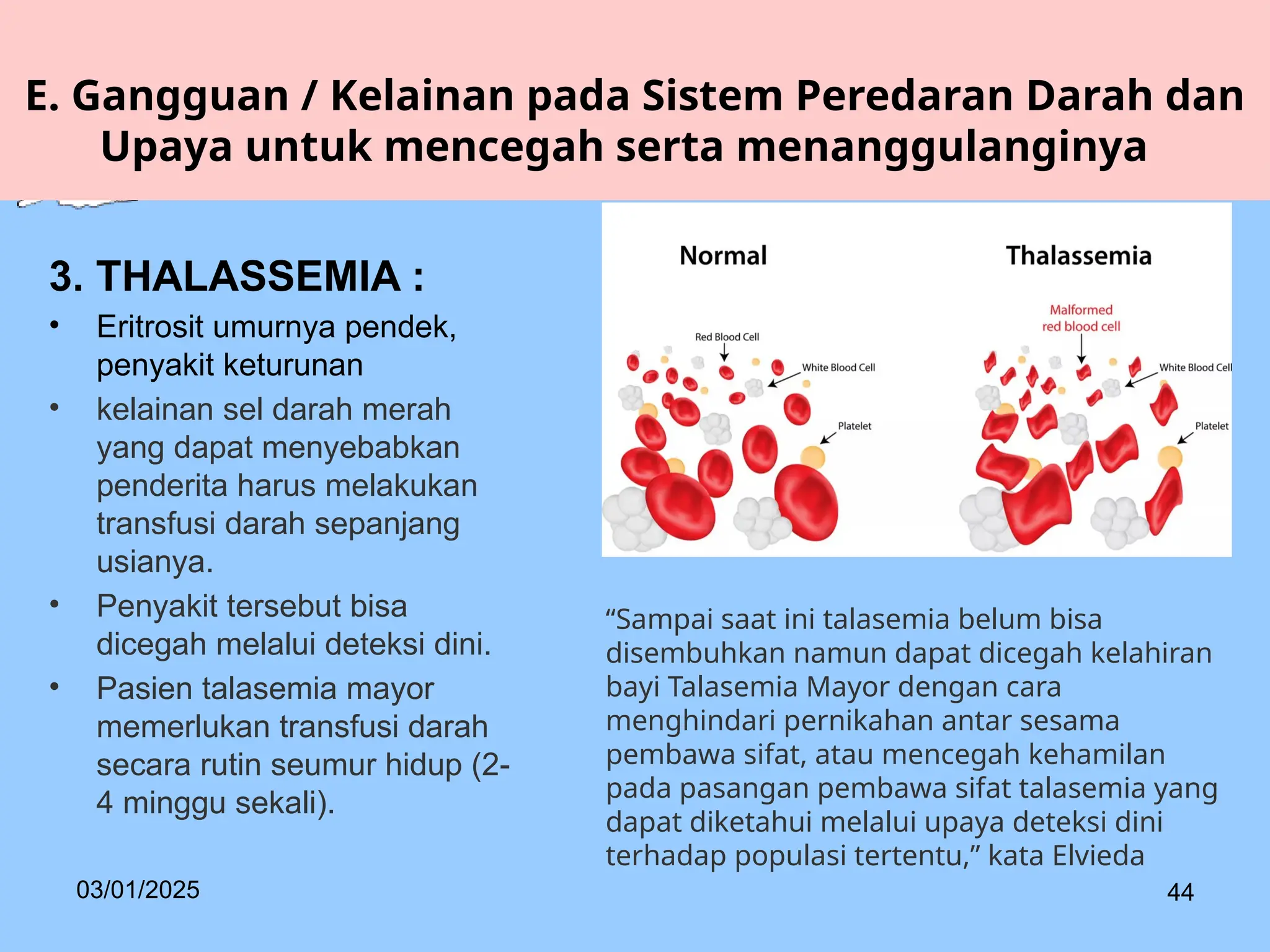 PPT SISTEM PEREDARAN DARAH MANUSIA KELAS 8 | PPTX