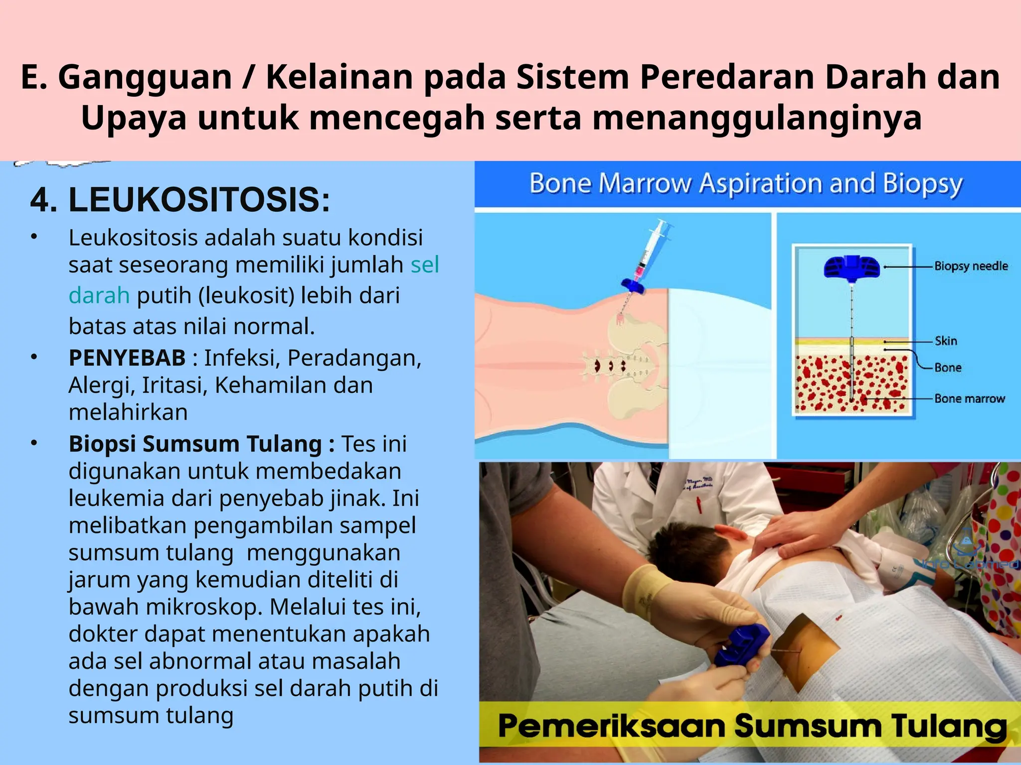 PPT SISTEM PEREDARAN DARAH MANUSIA KELAS 8 | PPTX
