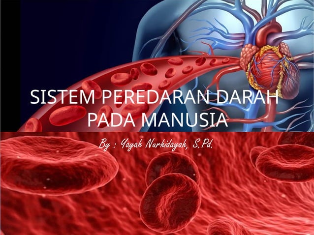 PPT SISTEM PEREDARAN DARAH MANUSIA KELAS 8 | PPTX