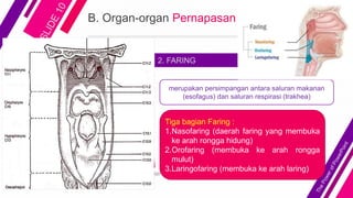 PPT IPA KELAS 8_BAB 9_SISTEM PERNAPASAN MANUSIA - Copy.pptx