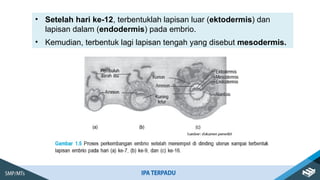 PPT IPA Kelas 9 reproduksi manusia.pptx