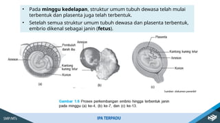 PPT IPA Kelas 9 reproduksi manusia.pptx