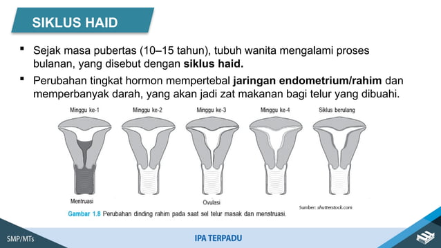 PPT IPA Kelas 9 reproduksi manusia.pptx