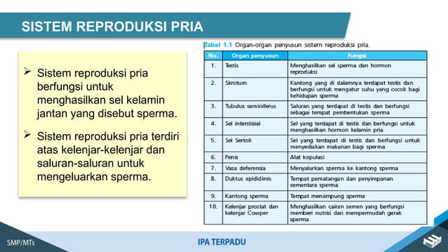 PPT IPA Kelas 9 reproduksi manusia.pptx