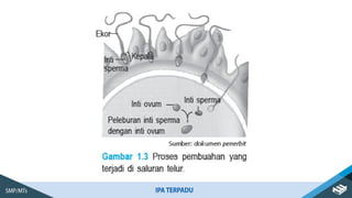PPT IPA Kelas 9 reproduksi manusia.pptx