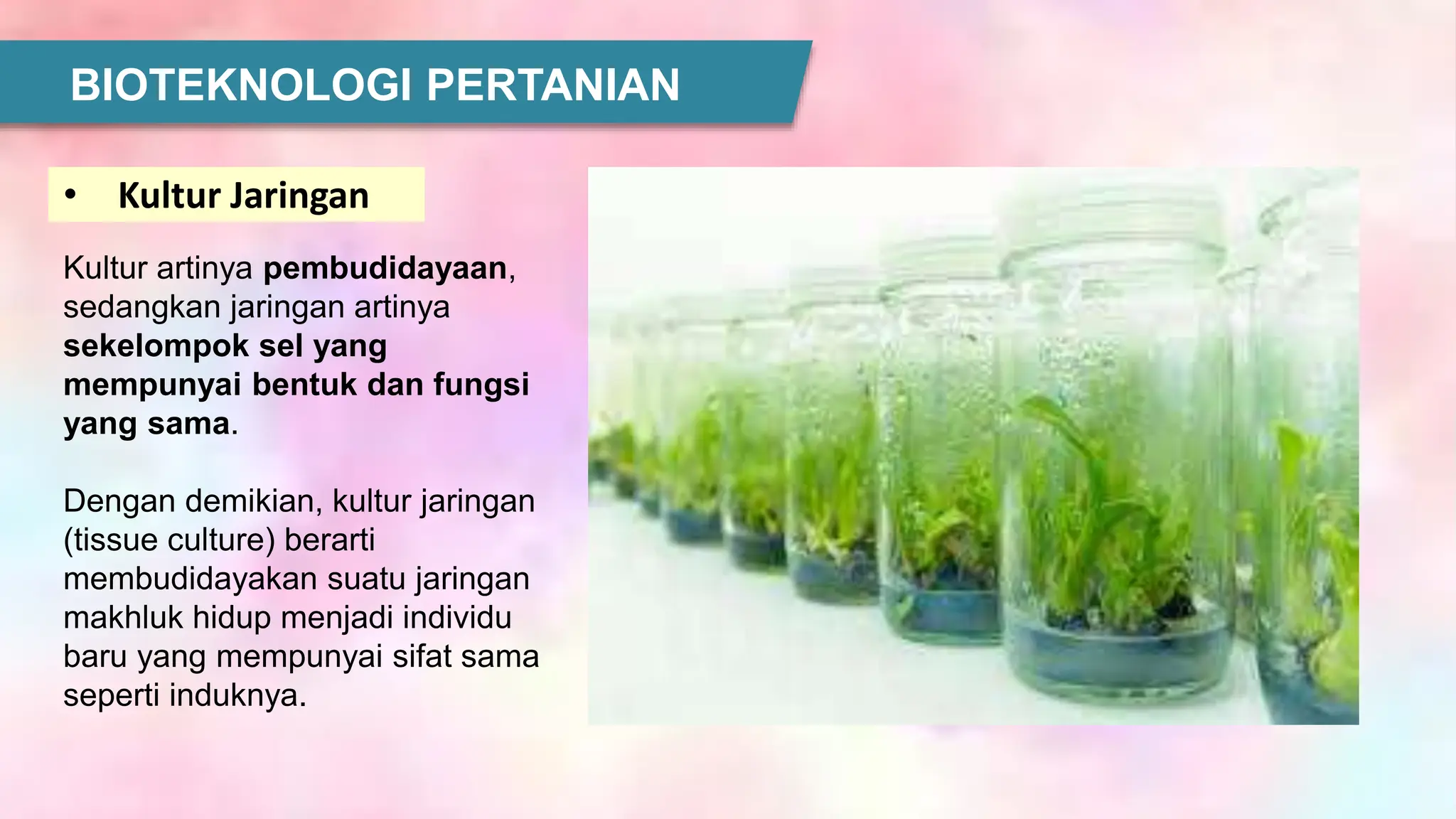 PPT IPA Kelas 9 BAB 7 BIOTEKNOLOGI DALAM KEHIDUPAN | PPTX