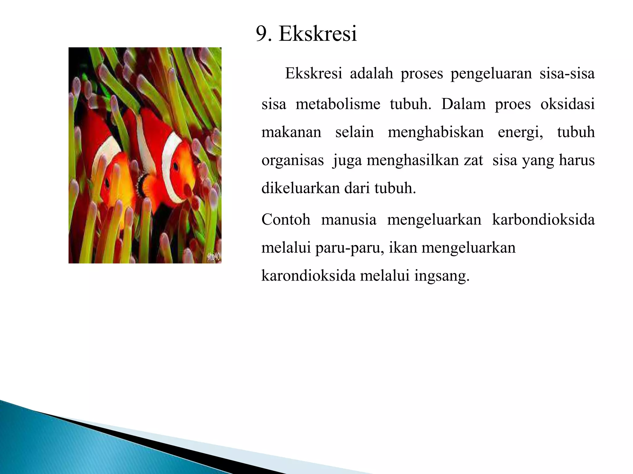 Ppt ipa kelompok 7 | PPT