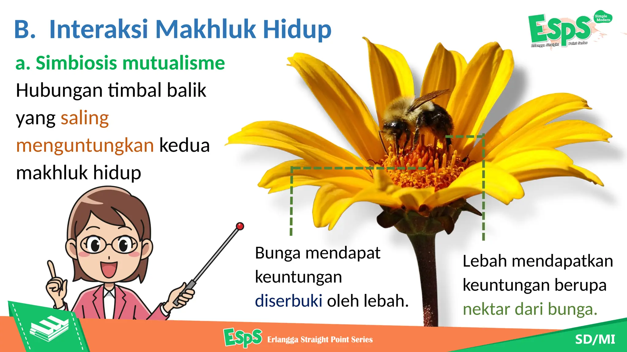 PPT IPAS 5 Bab 2 Ekosistem yang Seimbang [modulguruku.com].pptx