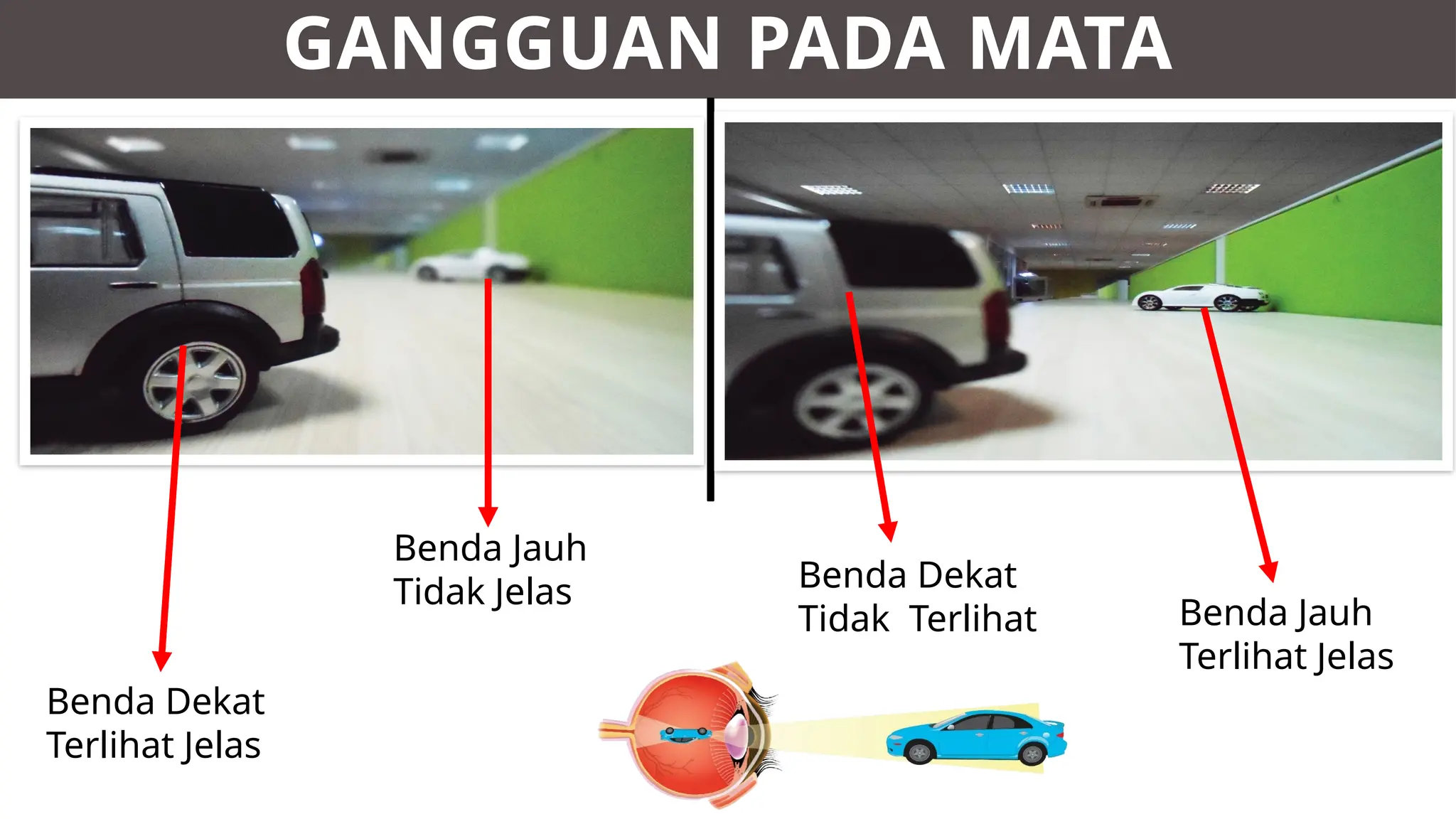 PPT IPAS 5 Organ Mata dan kegunaanya.pptx