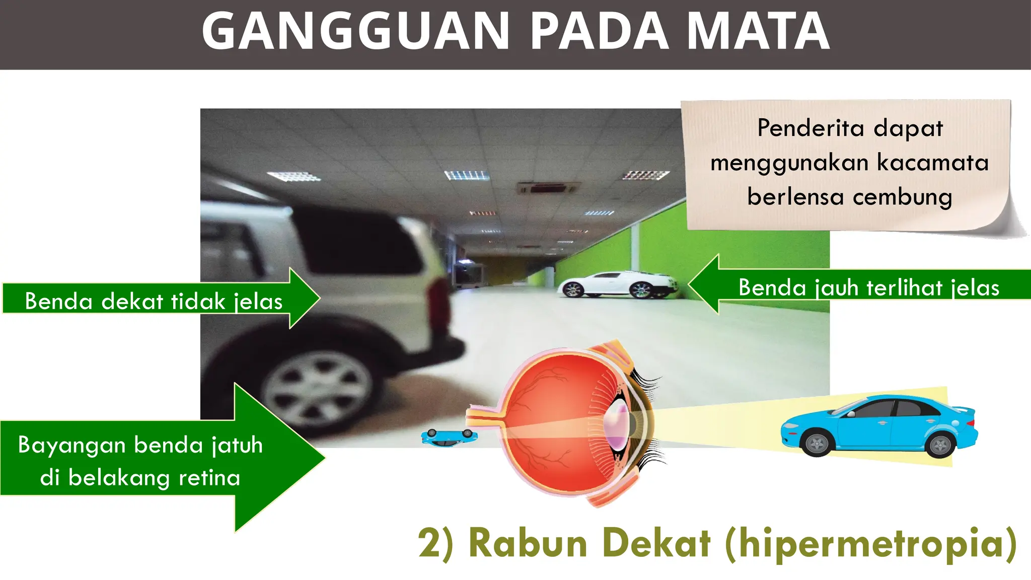 PPT IPAS 5 Organ Mata dan kegunaanya.pptx