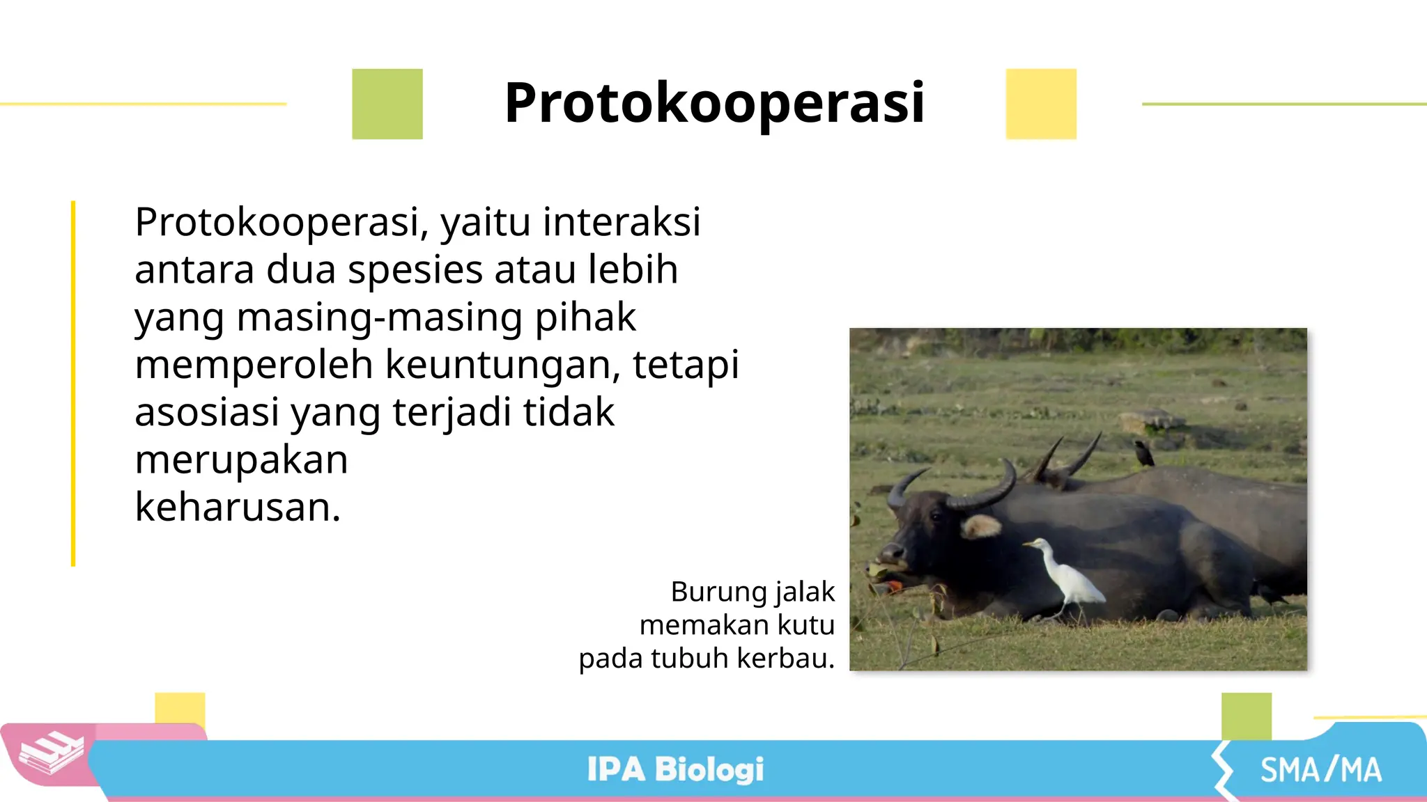 PPT IPAS INTERAKSI ANTAR KOMPONEN EKOSISTEM.pptx