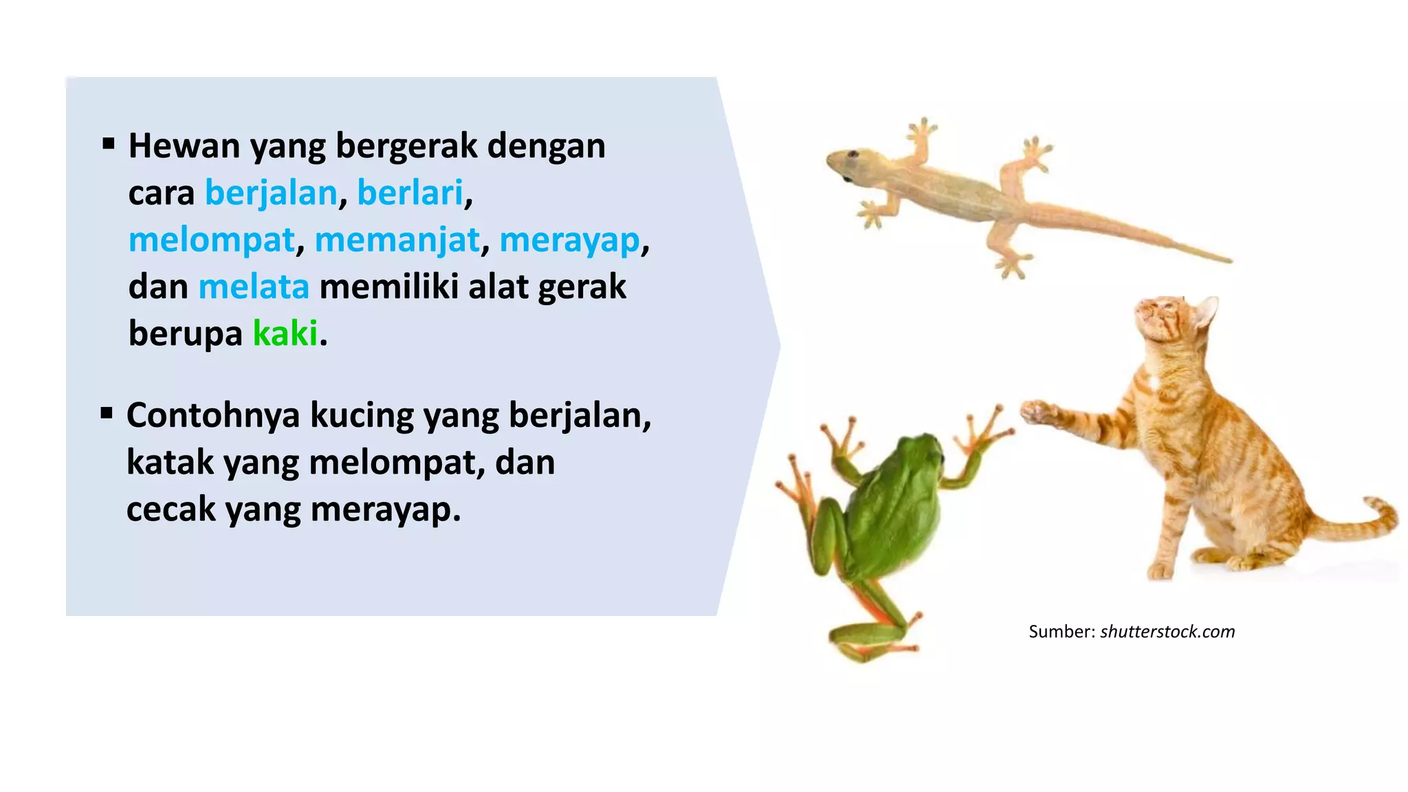PPT IPA TEMA 1 SB 1 (HENI).pptx