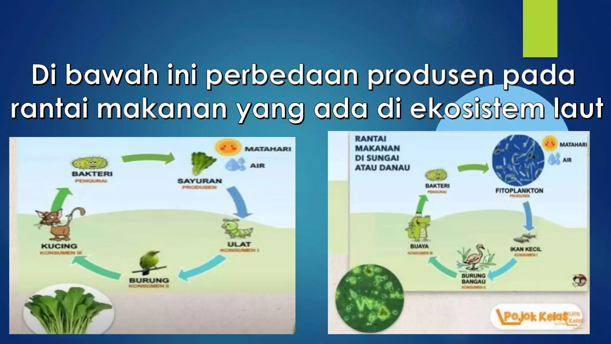 PPT IPA Tema 5 (Rantai makanan dan Jaring-jaring makanan) Kelas 5.pptx