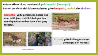 PPT IPA TEMA 5 SB 2 MEDIA MENGAJAR TEMATIK.pptx