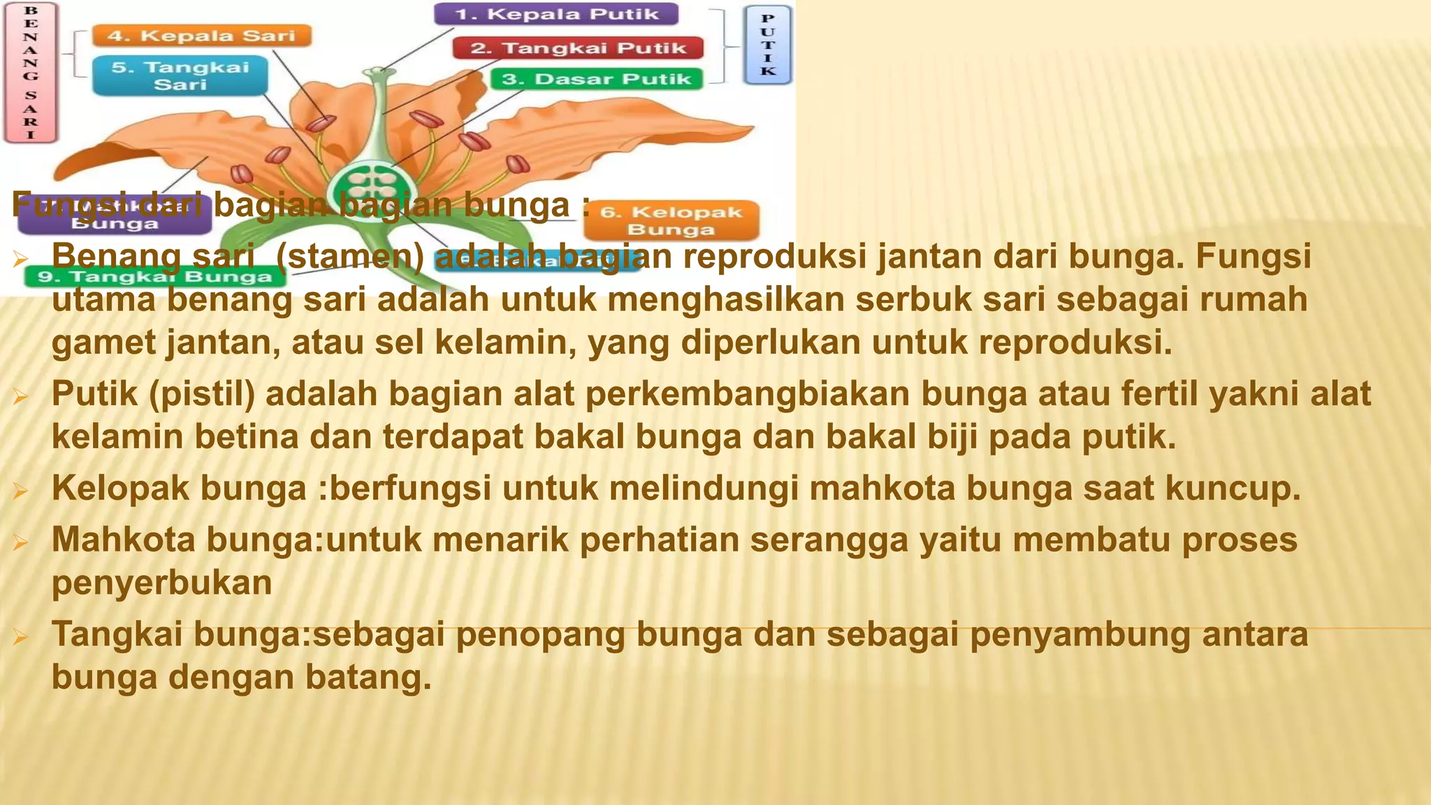 Reproduksi Tumbuhan | PPTX