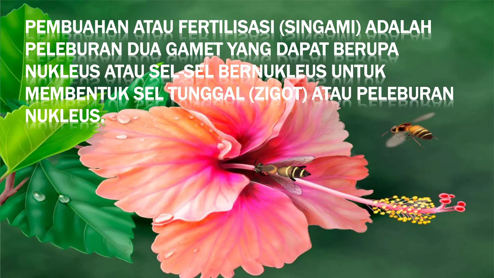 Reproduksi Tumbuhan | PPTX