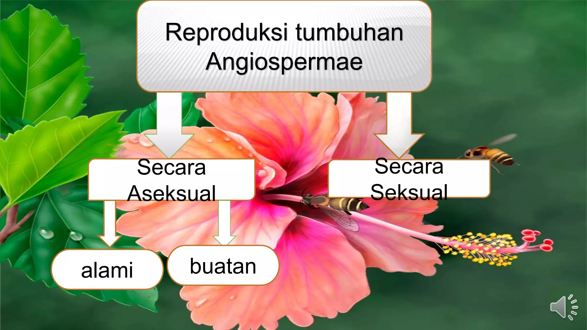 Reproduksi Tumbuhan | PPTX