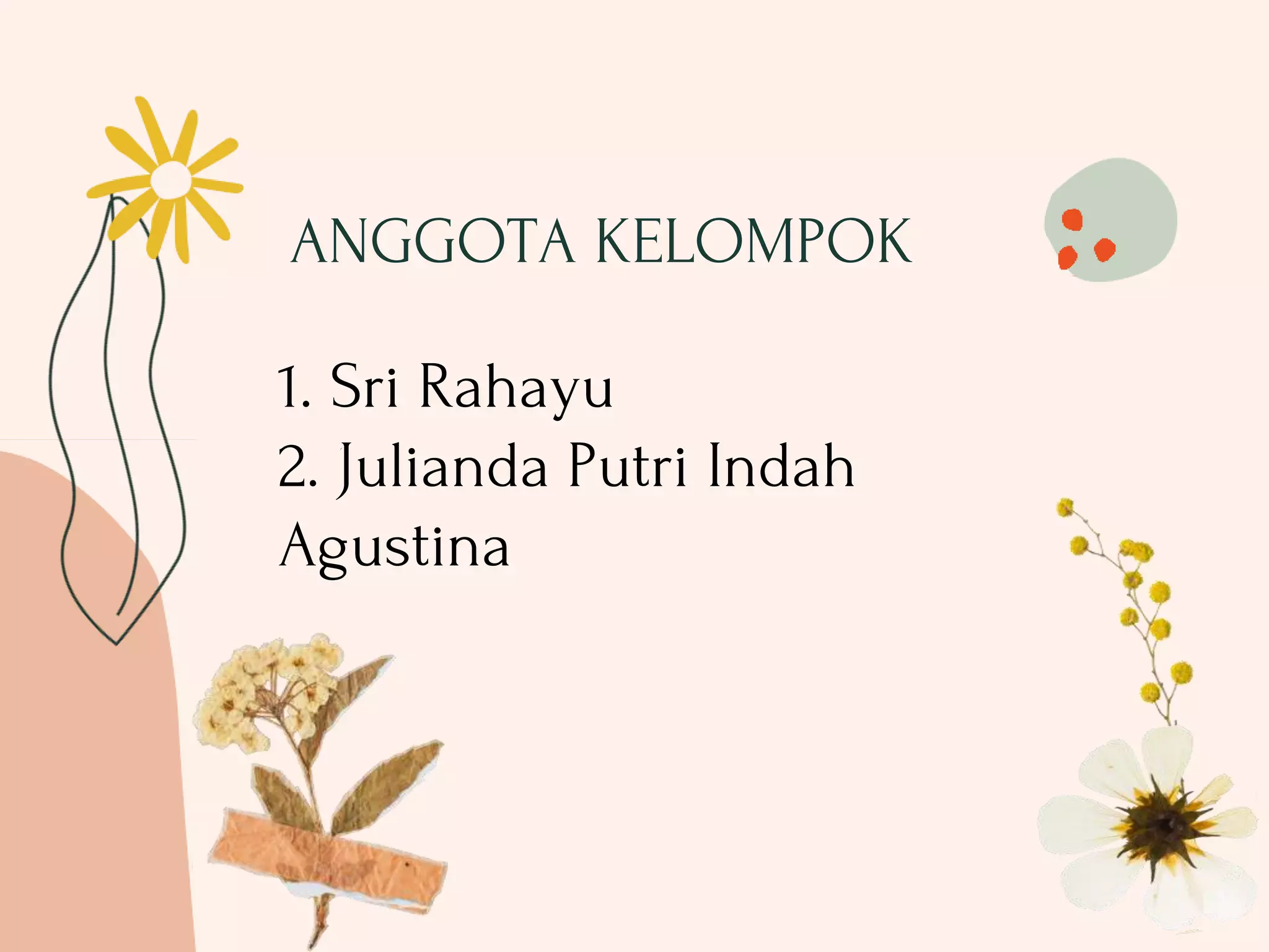 PPT IPS.pptx