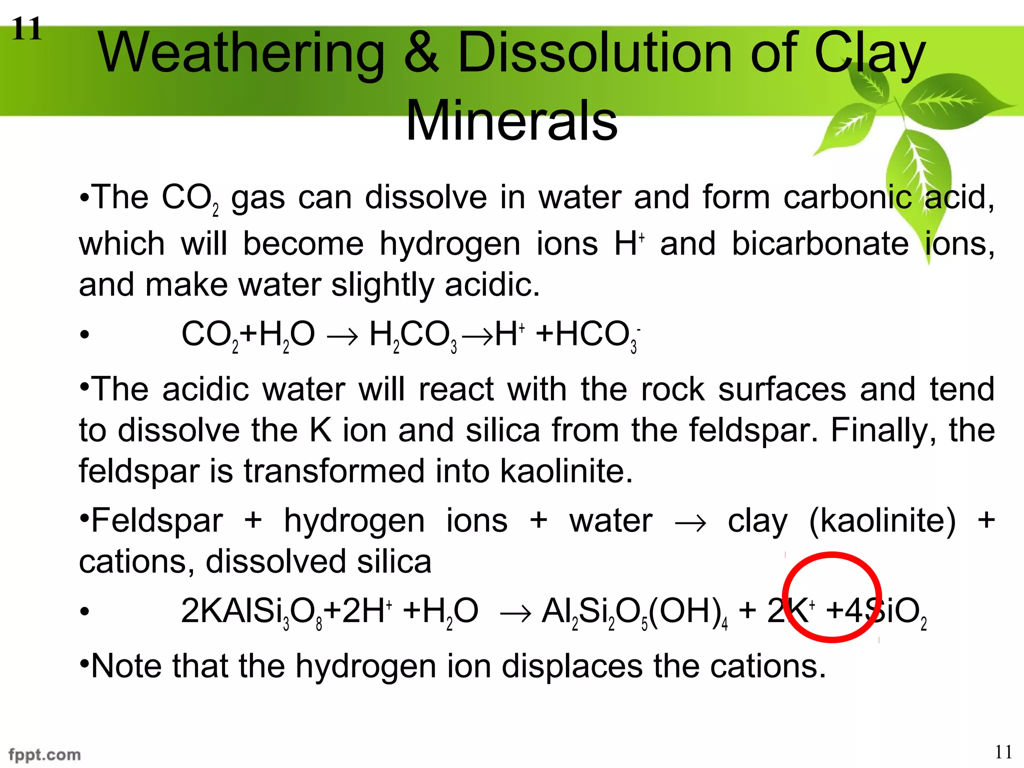 Acquisition of K in Plants | PPT