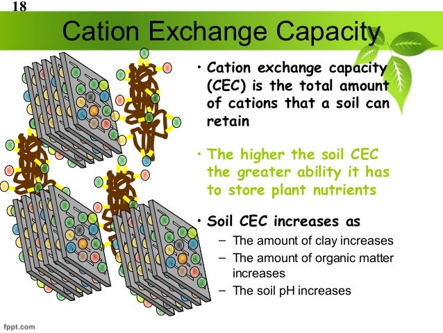 Acquisition of K in Plants