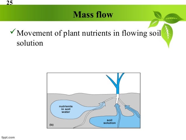 Acquisition of K in Plants