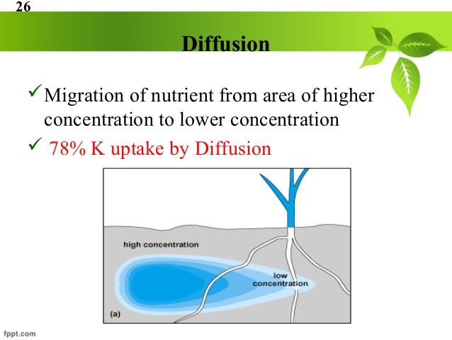 Acquisition of K in Plants