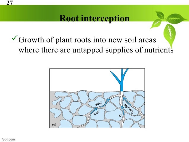 Acquisition of K in Plants
