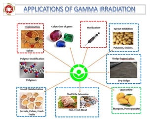 Symec Engg. - Irradiation | PPTX | Agriculture | Industries